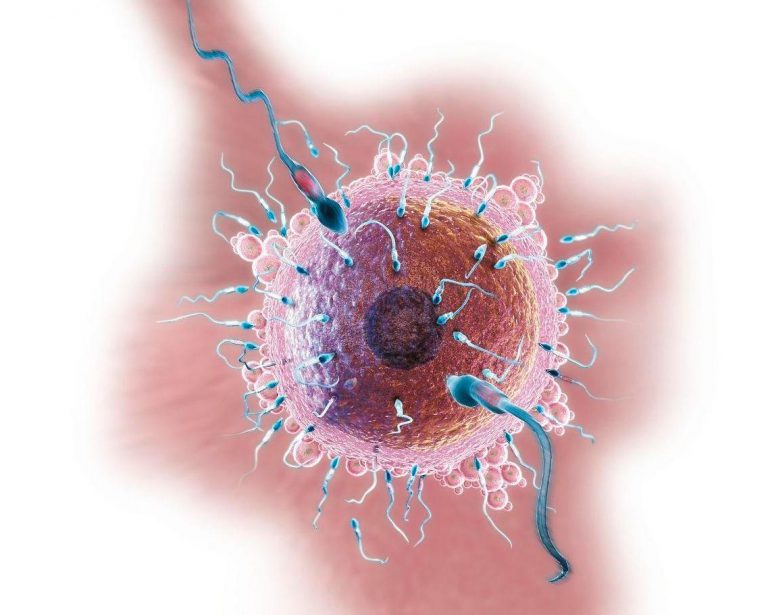 Assisted Hatching – Finney Hospital & Fertility Center